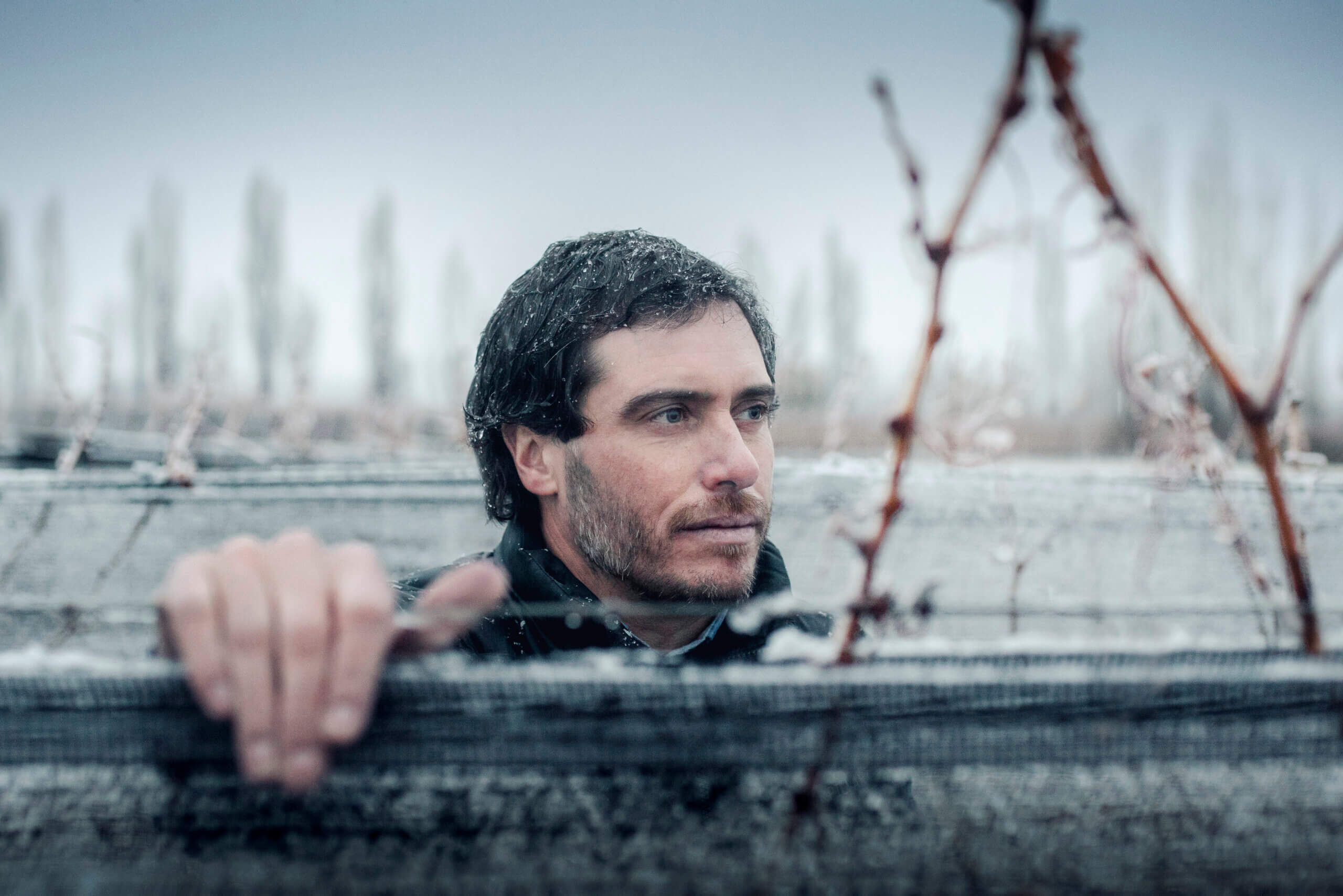 Wines - Hatch Mansfield